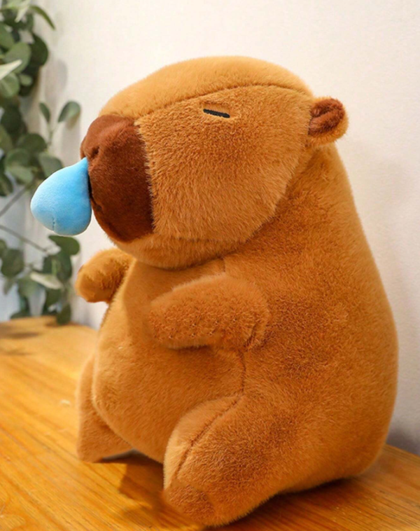 CAPIBARA MOCO - Bazar and Technology